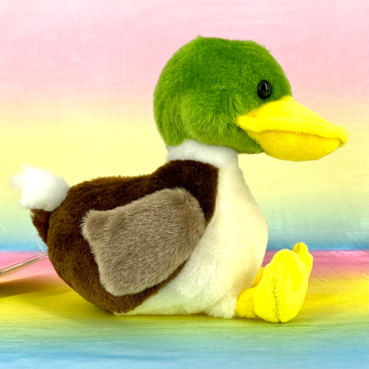 Peta Peta Ahiru-Tai the Duck - Mallard - Small – Pick-A-Plushie
